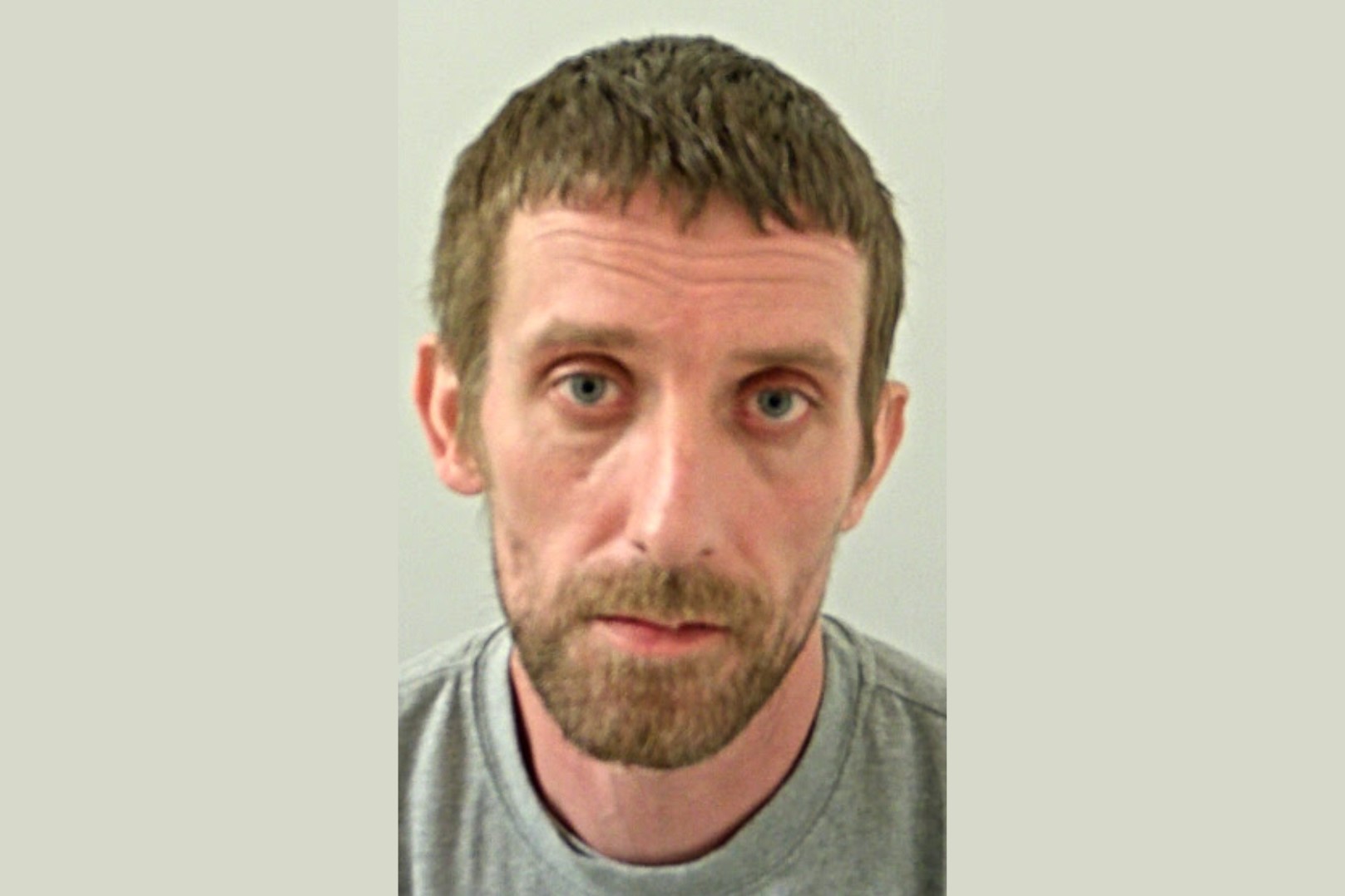 'Manipulative' paedophile sexually assaulted teenage girl, 15, after ...