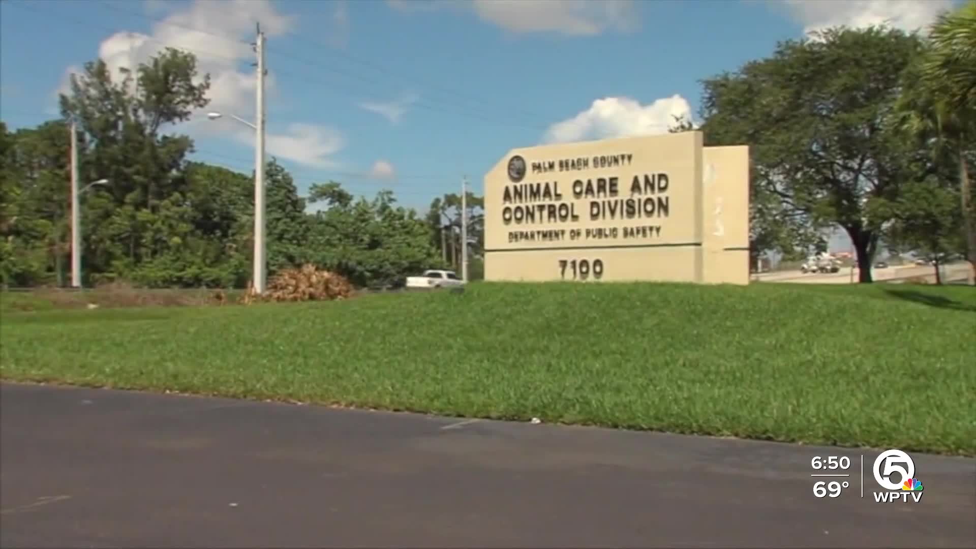 Renovations to begin at Palm Beach County Animal Care & Control Jan. 28