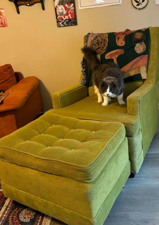 Shopper shares photos after finding unique item for cheap at thrift ...