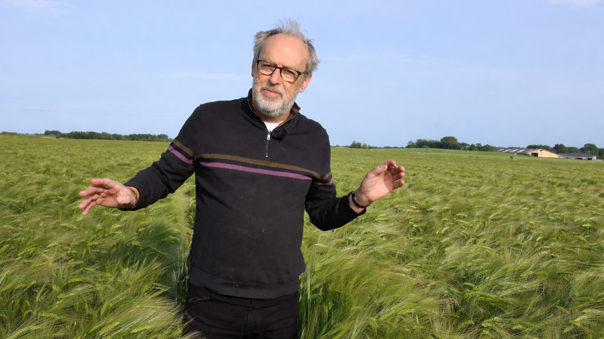 Why some fields thrive and others struggle