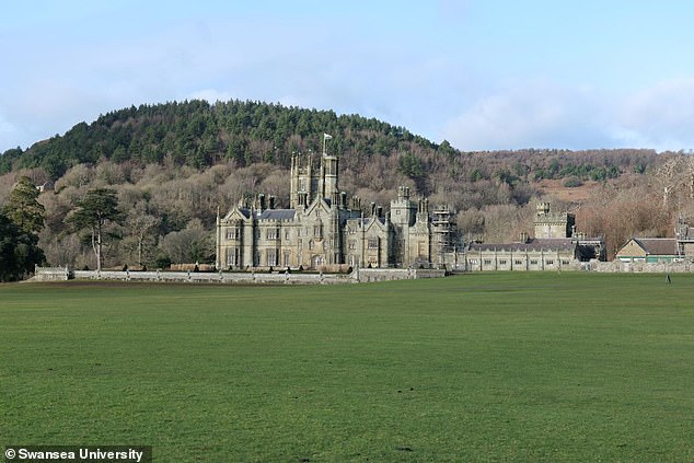 Port Talbot's Pompeii: Largest Roman villa ever found in Wales ...