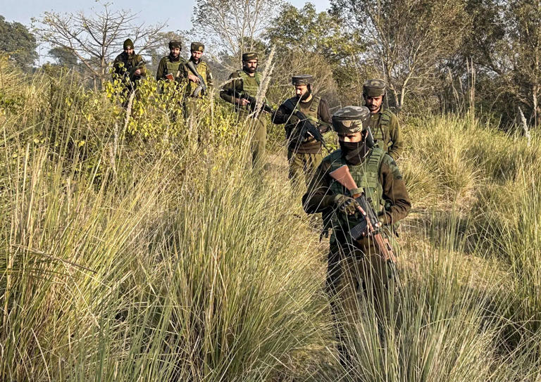 Major crackdown: Five J&K govt employees sacked over 'terror links ...