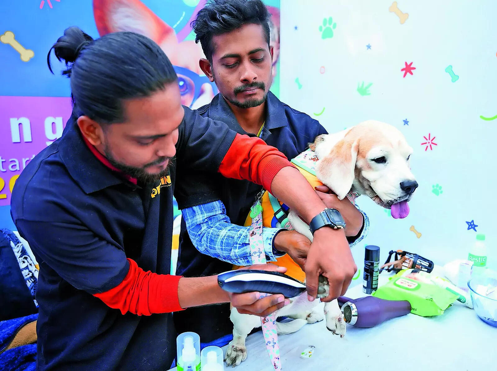 Tails, whiskers, paws and more: A day out for pets and their humans