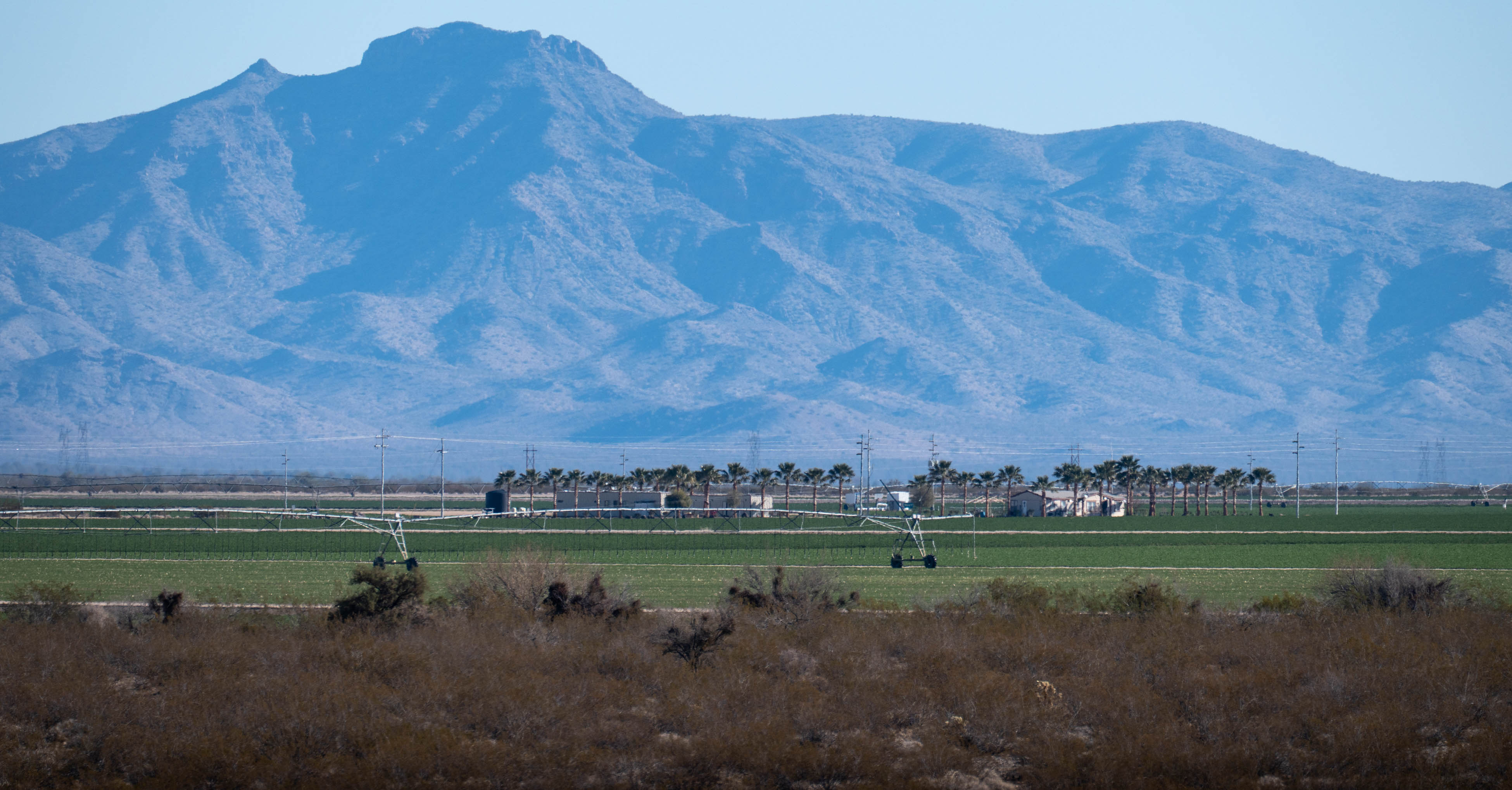 Arizona will regulate groundwater where Saudi company grows alfalfa