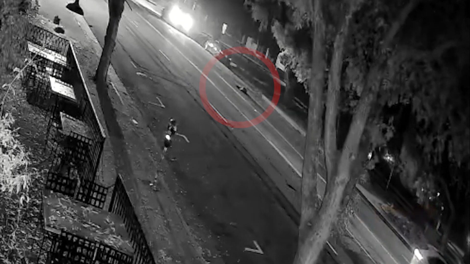 Fatal hit-and-run: footage shows man hit by 3 vehicles on a Los Angeles ...
