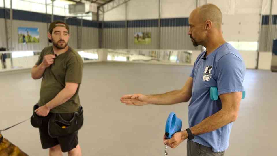 What trainers look for in a true competitive retrieve