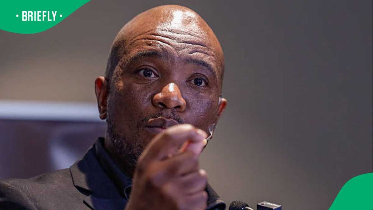 Education reform urged as BOSA disputes 88% mark, calling for a shift ...