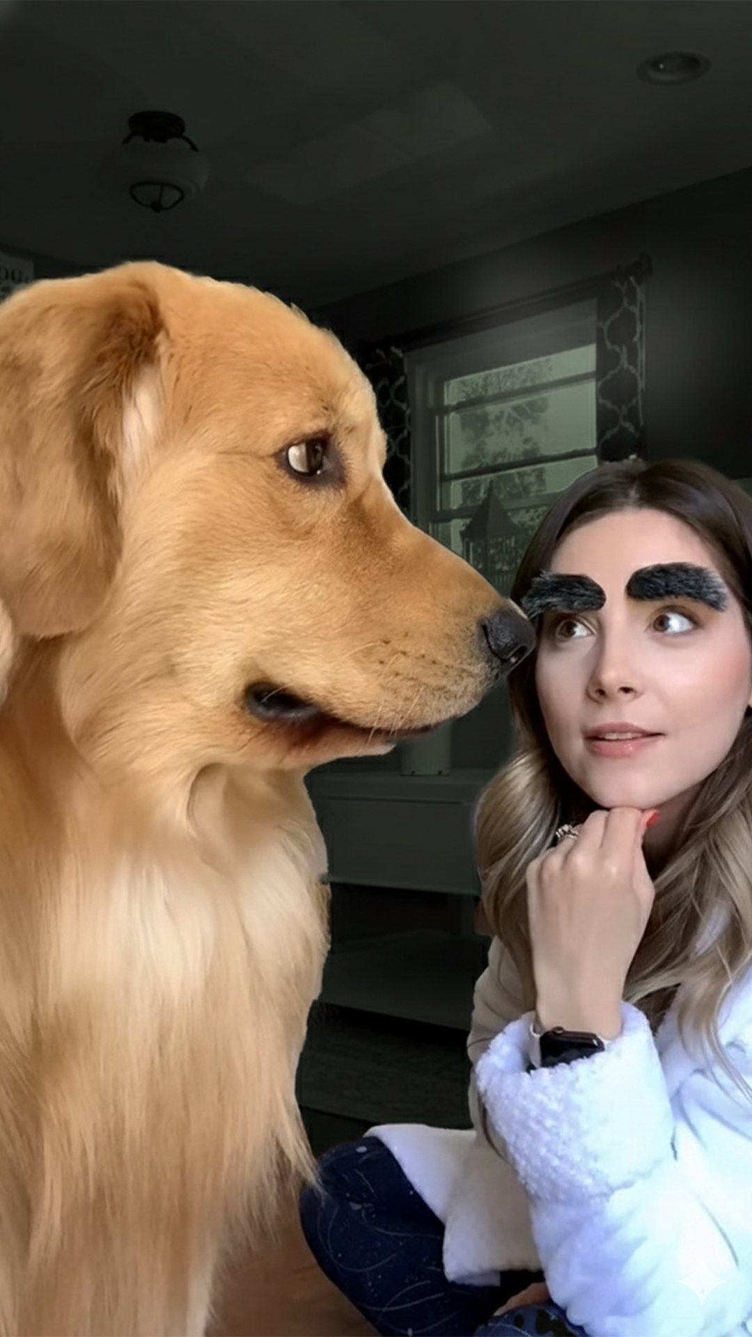 Golden retriever judges my new eyebrows