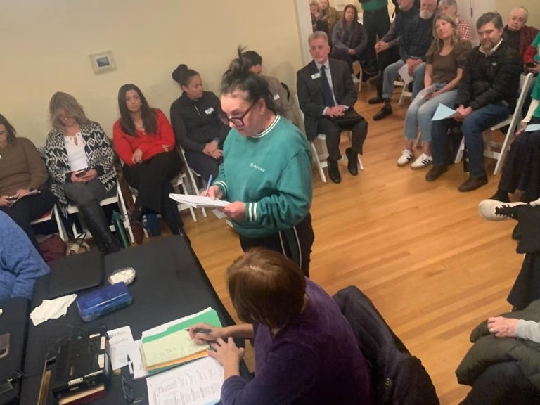 Elmhurst park officials pick unpopular site for bandshell