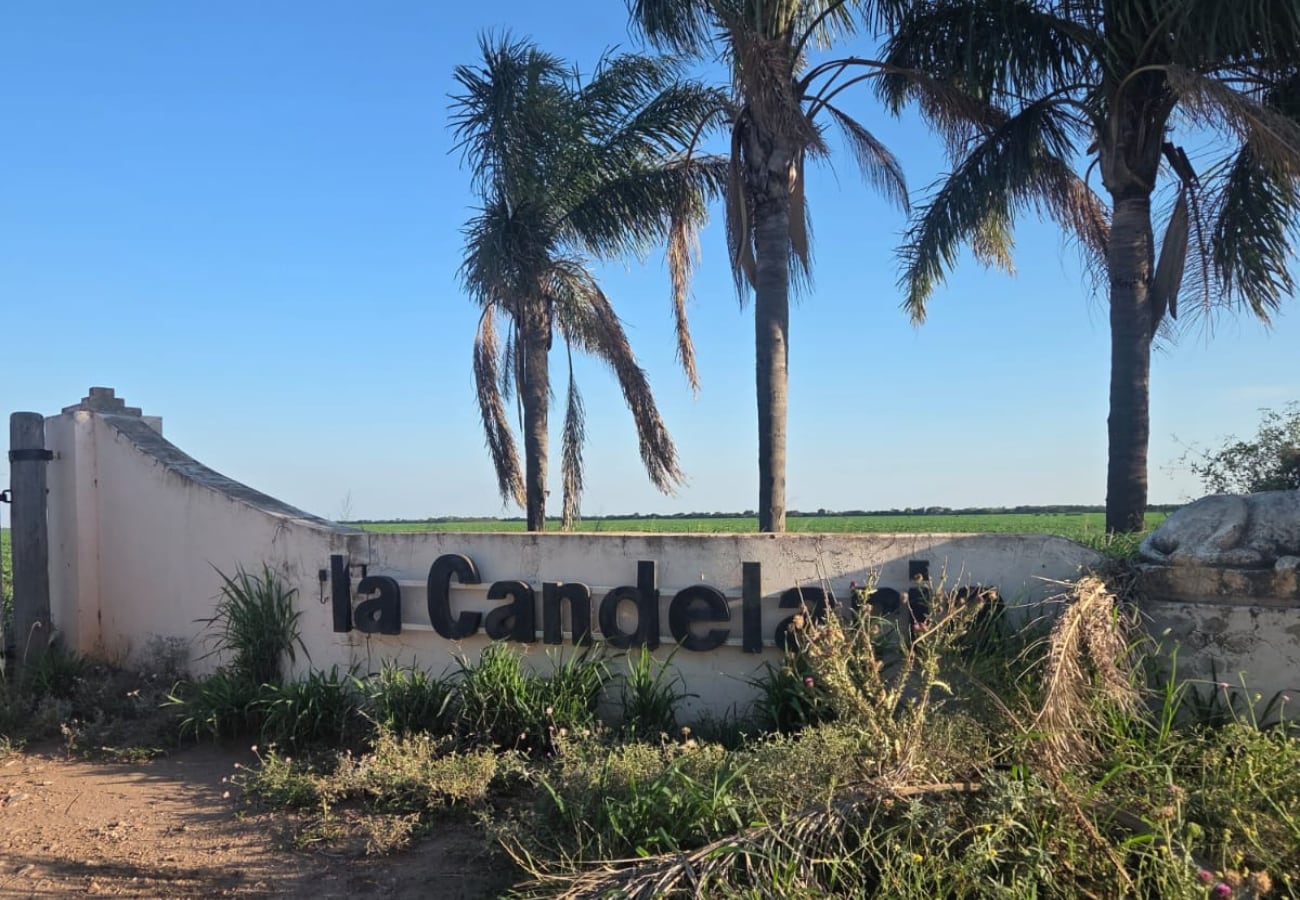 Trabajaba con su familia, le cayó encima un chimango y murió en Córdoba