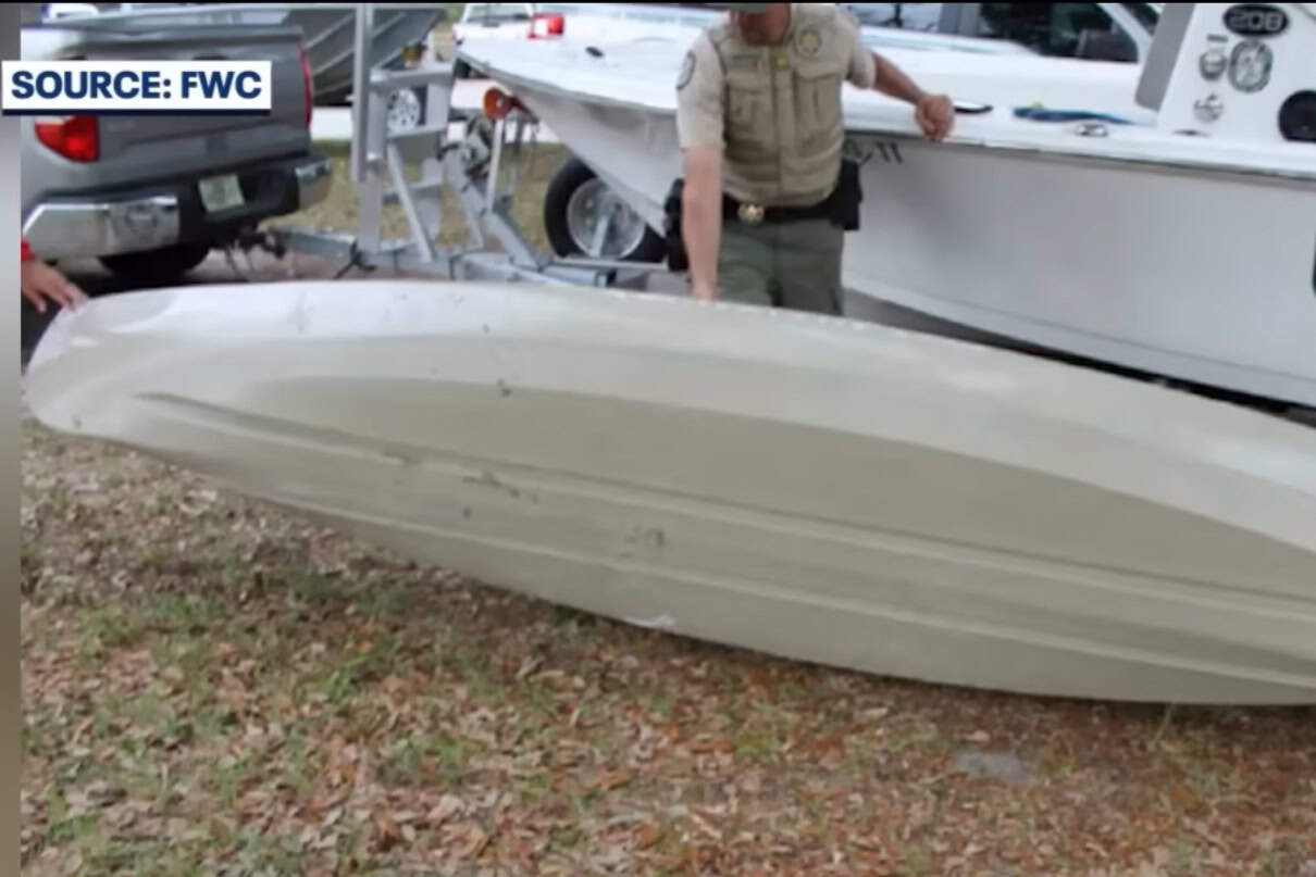 FWC kills alligator that attacked canoeist in May 2025