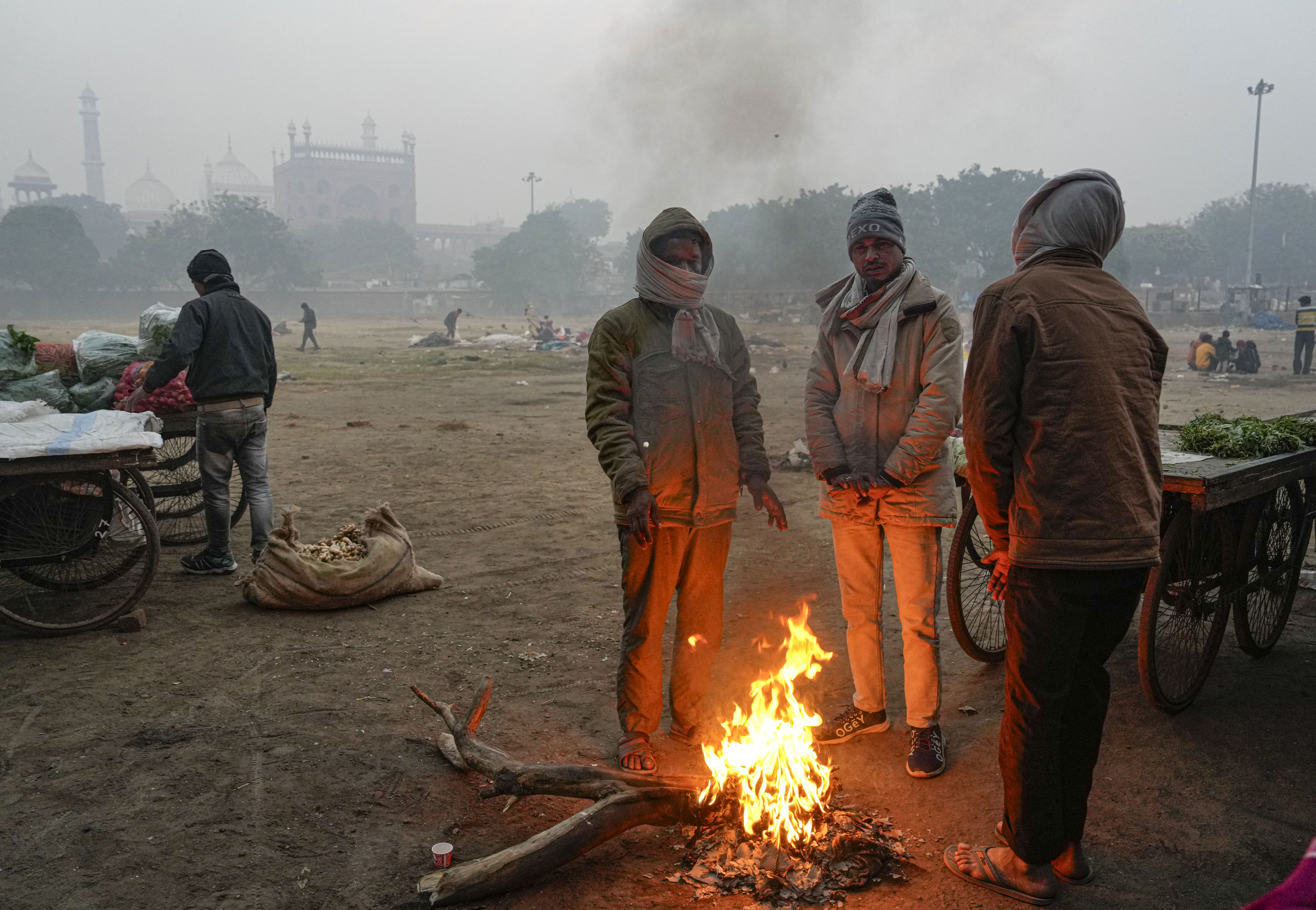 North India shivers: Delhi sees coldest January dawn in 3 years, record ...