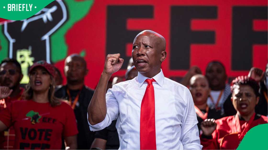 Public protector clears Dean Macpherson of ethics breach after EFF ...