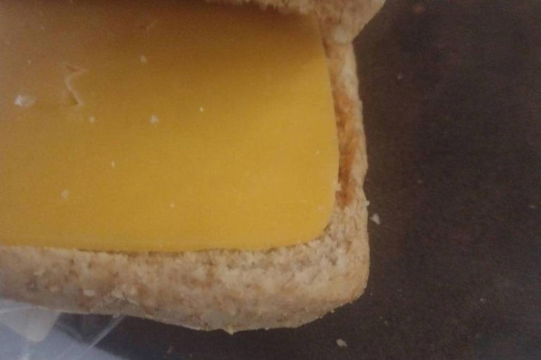 Aer Lingus passenger orders sandwich on flight – what arrives leaves ...