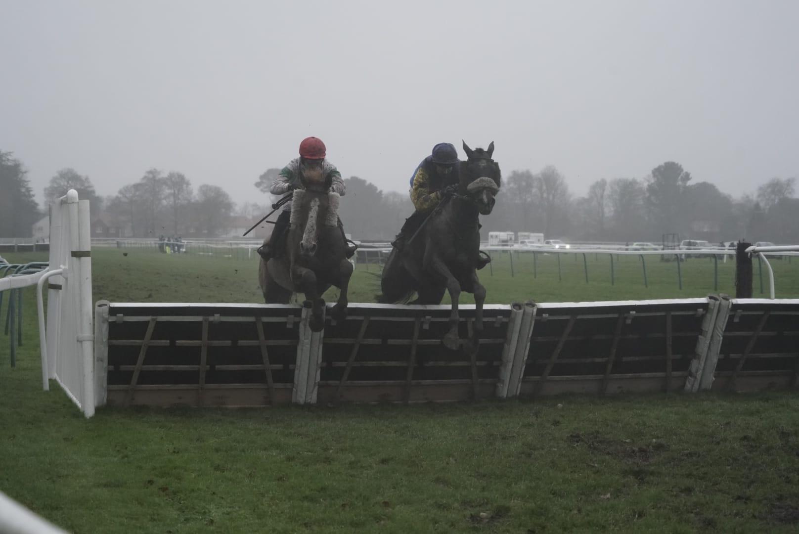In pictures: Jump racing fans brave winter weather to take in Fontwell ...