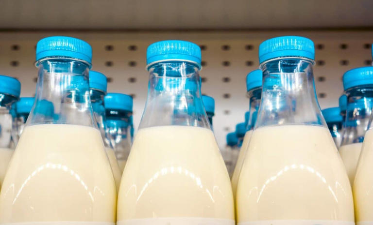 FDA orders immediate skim milk recall after contamination with cleaning ...