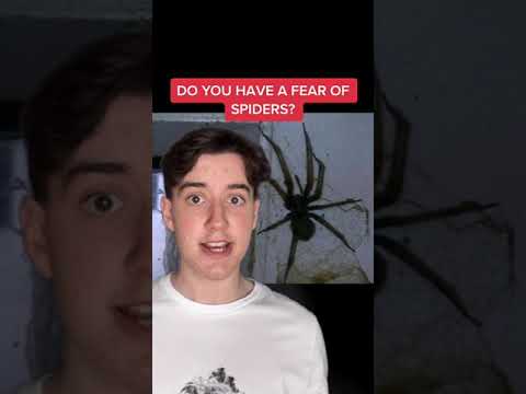 Why some people develop a strong fear of spiders