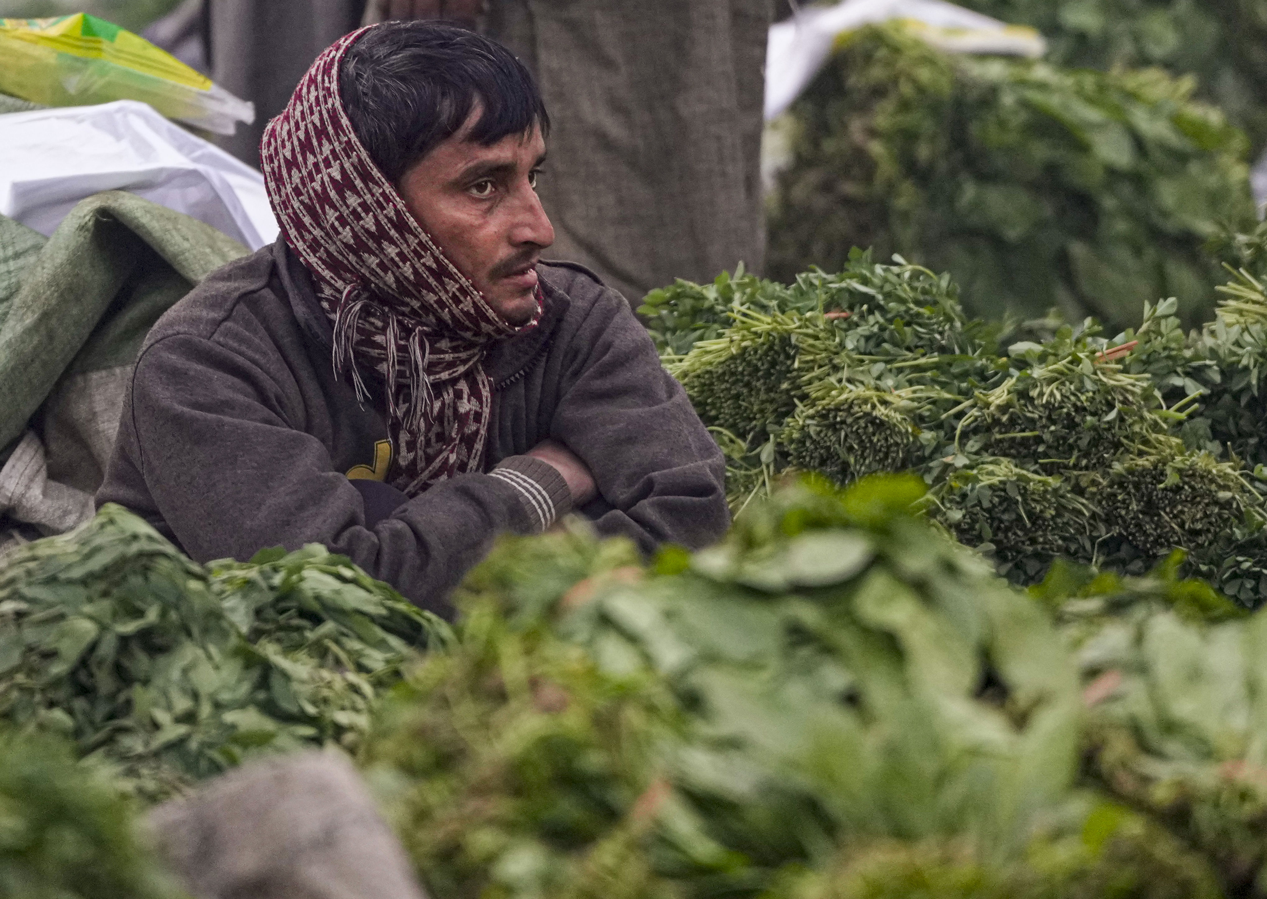 North India shivers: Delhi sees coldest January dawn in 3 years, record ...