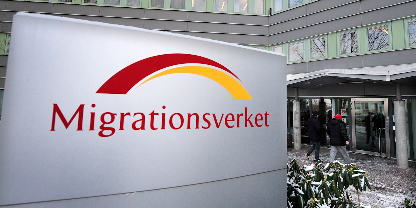 Journalist utvisas: "Skicka mig inte till en säker död"