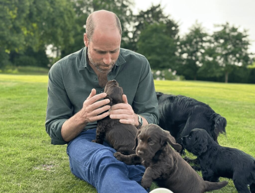 William e Kate condividono l'amore di Elisabetta II per i cani, James ...