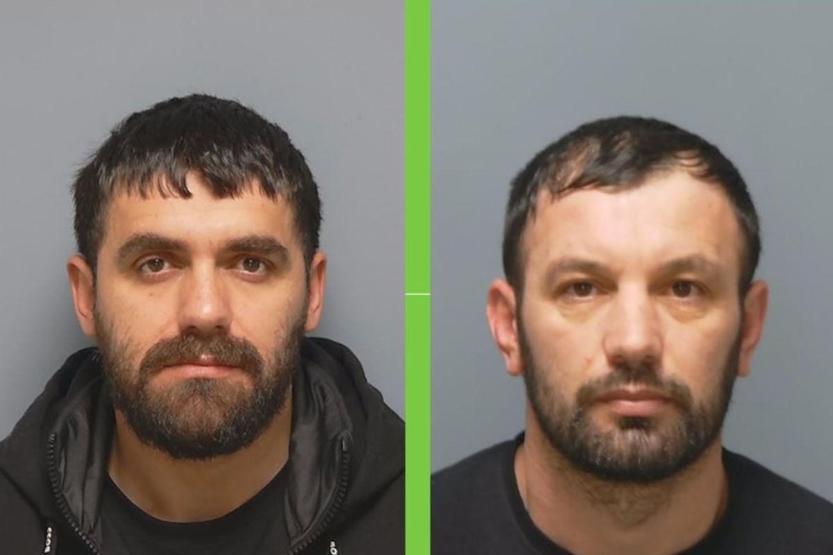 Two Albanian men jailed following discovery of extensive cannabis ...