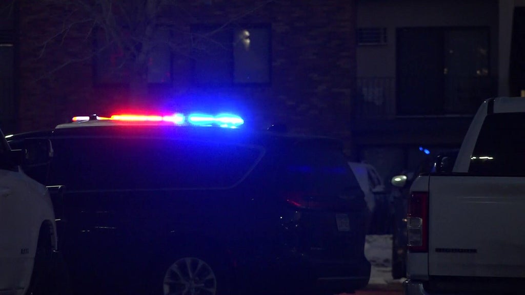 Man, 30, charged with murder, attempted murder in stabbing in St. Anthony