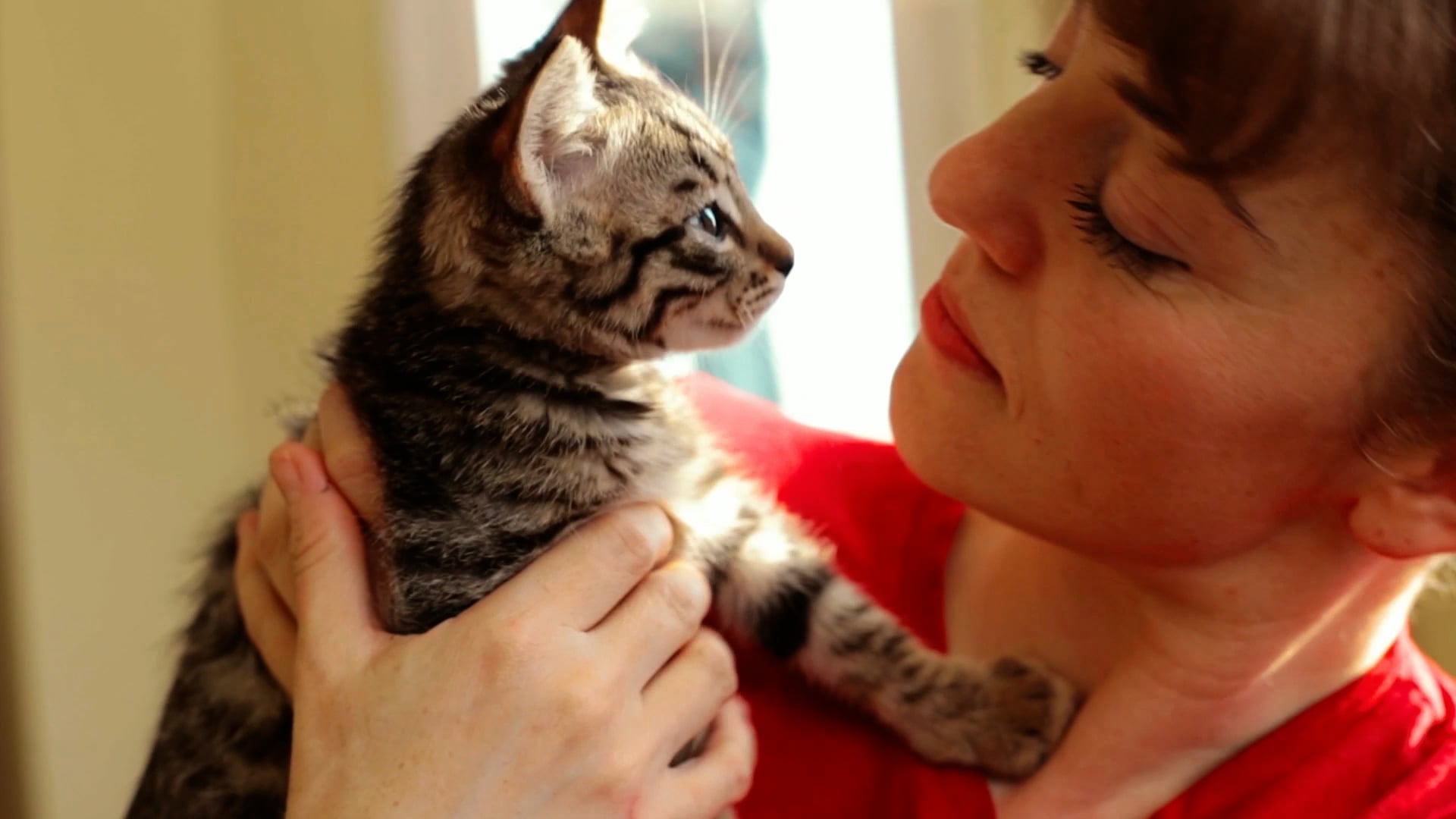 6 heartwarming signs your cat adores you more than catnip