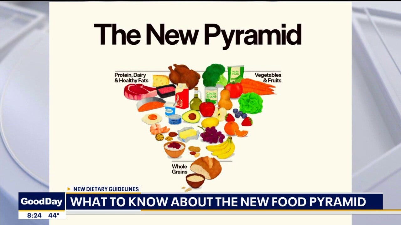 USDA's new food pyramid explained