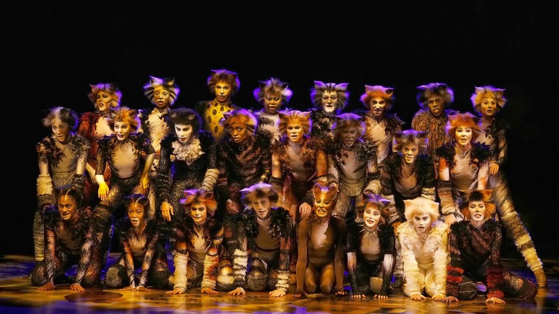 Joburg theatre heats up in 2026 with 'Cats' and a powerful Amy ...