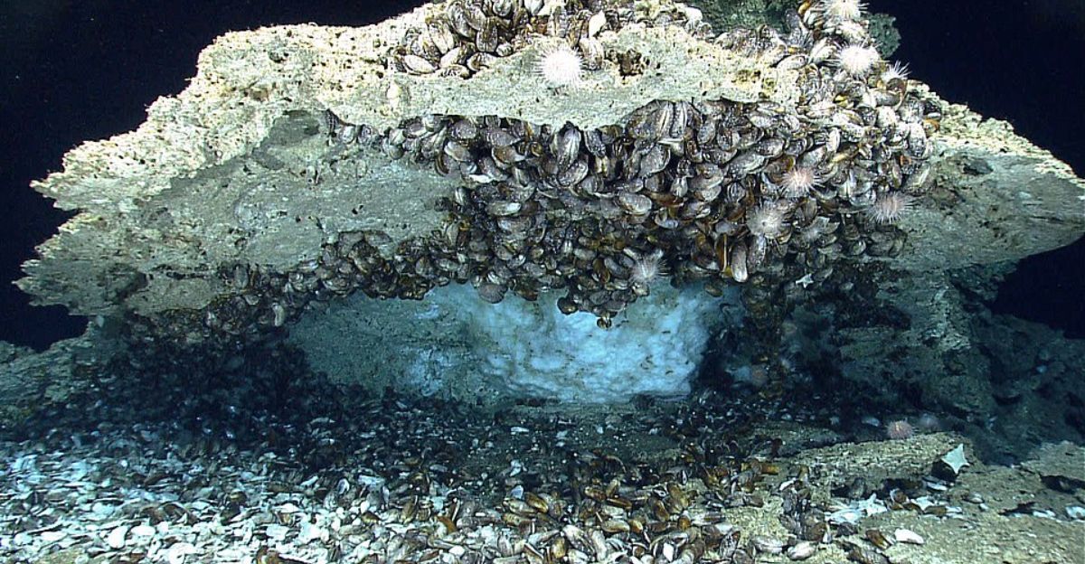 Mega volcano silent for 700,000 years is stirring—satellites detect ...