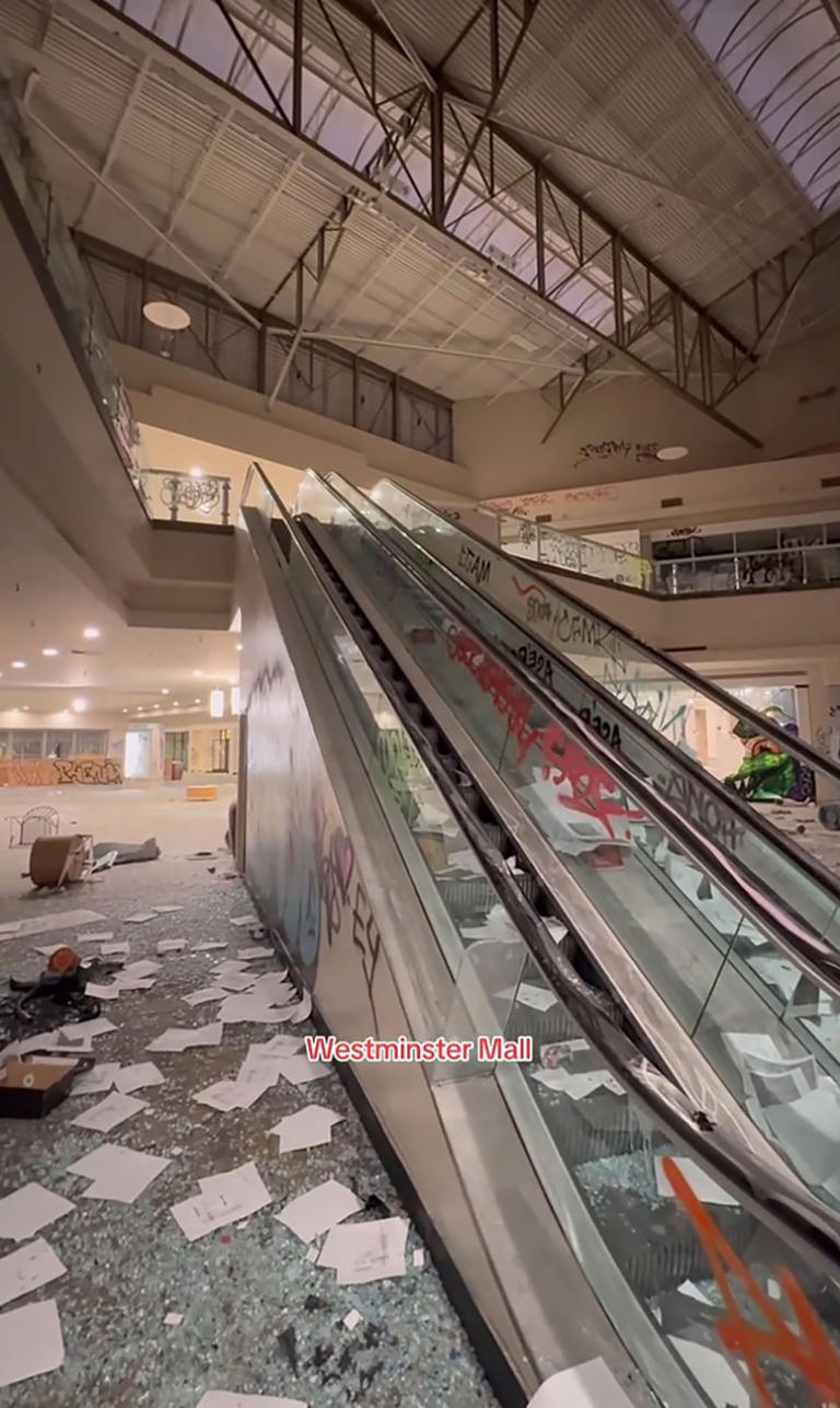 Shocking images show post-apocalyptic Calif. mall overrun by vandals ...