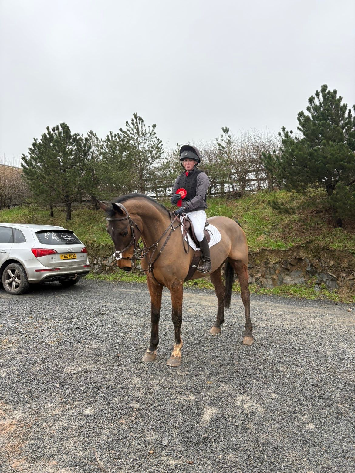 Horse Week: The first show of the year is a huge success at Ardnacashel