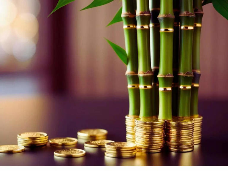 If your 'lucky' bamboo keeps dying, you're probably making these mistakes!