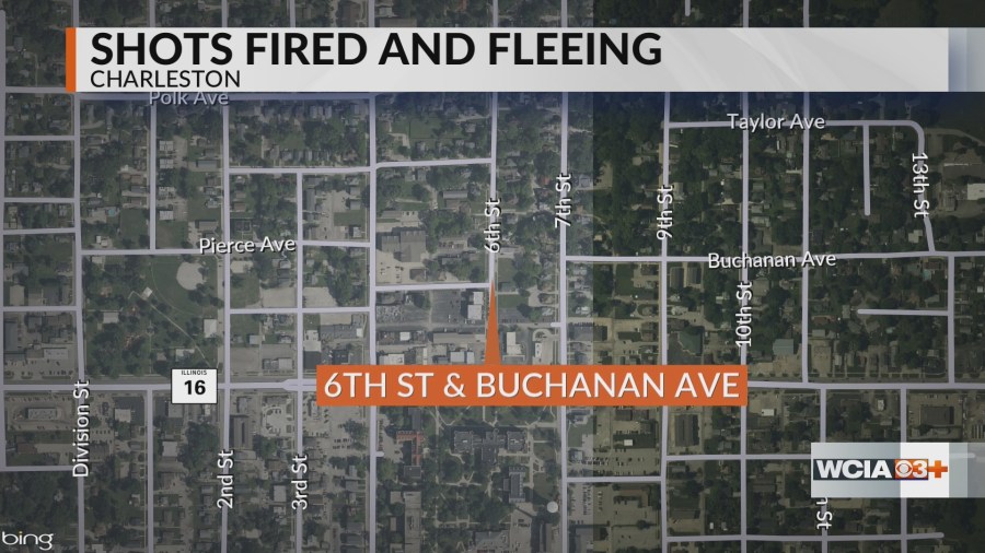 Mattoon woman accused of firing gun, fleeing crash scene during weekend ...