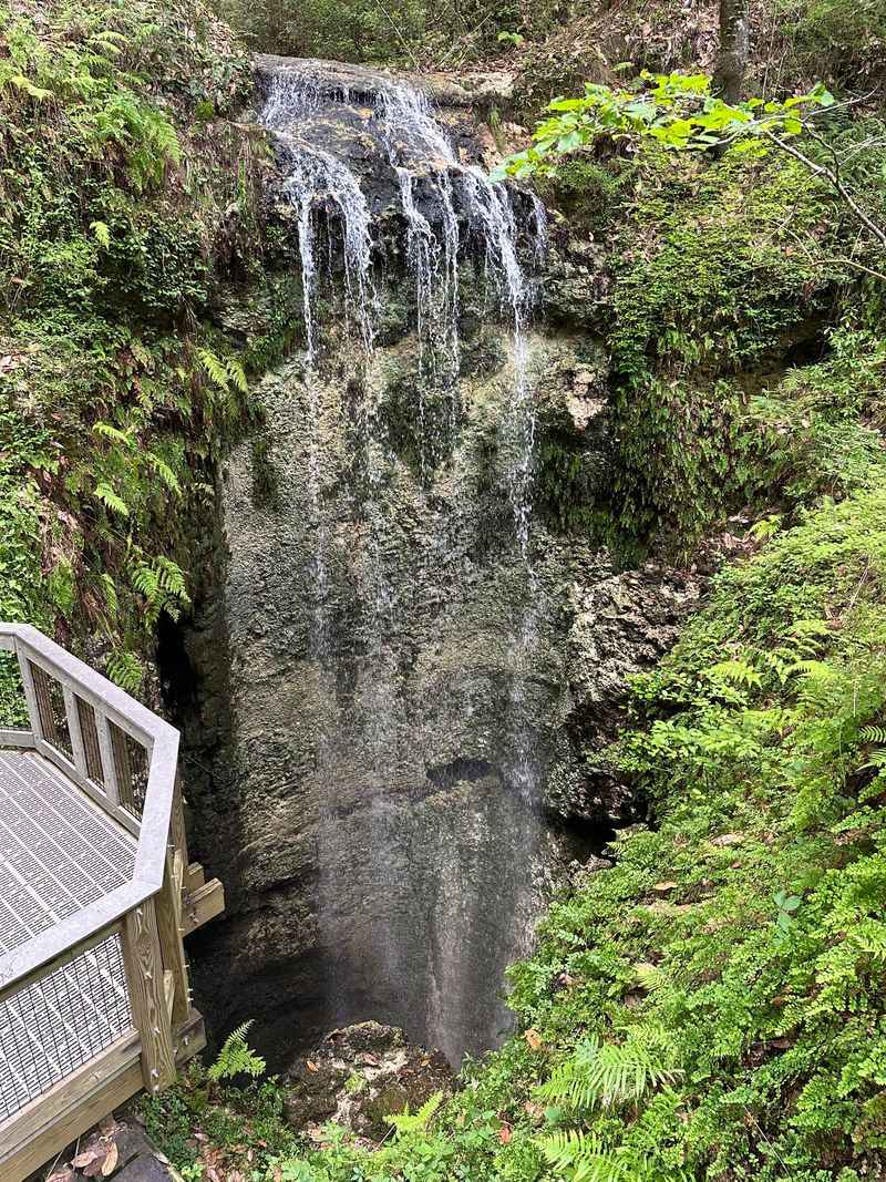 14 waterfalls across Florida that most visitors overlook