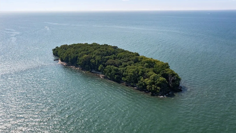 Want to own a private island? This one in Ohio is up for sale for $5 ...
