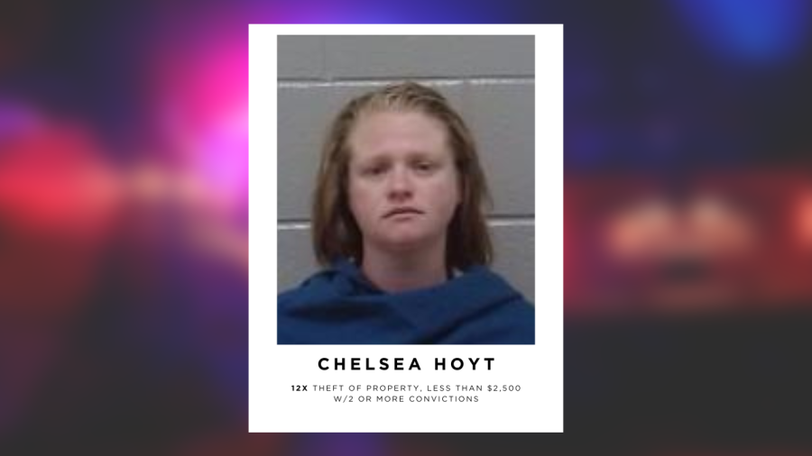 Electra woman receives 12 indictments for retail theft