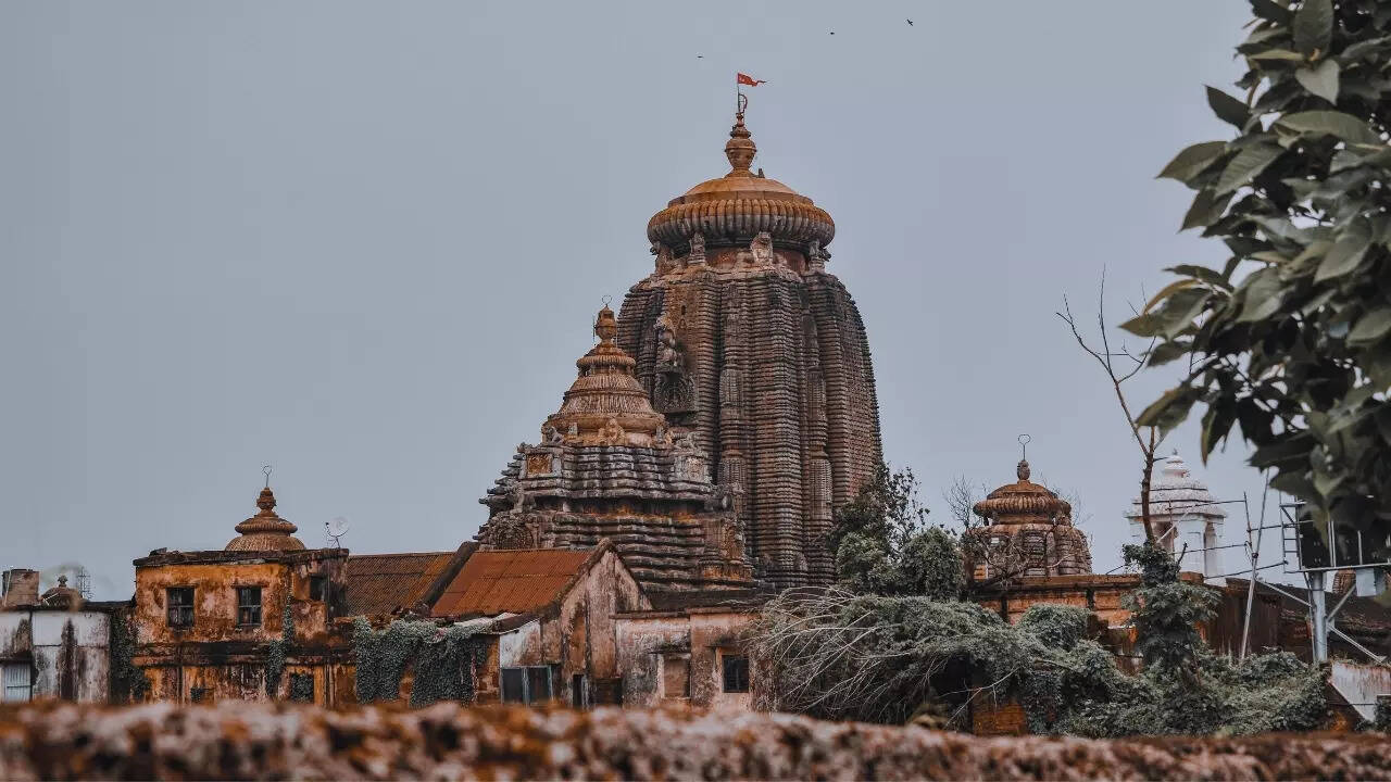 Lingaraj Temple Makar Sankranti rituals halted: Orissa HC stays ...