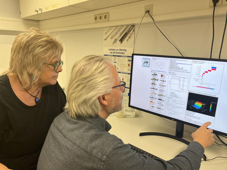 AI uncovers risks in chemical safety tests for aquatic life