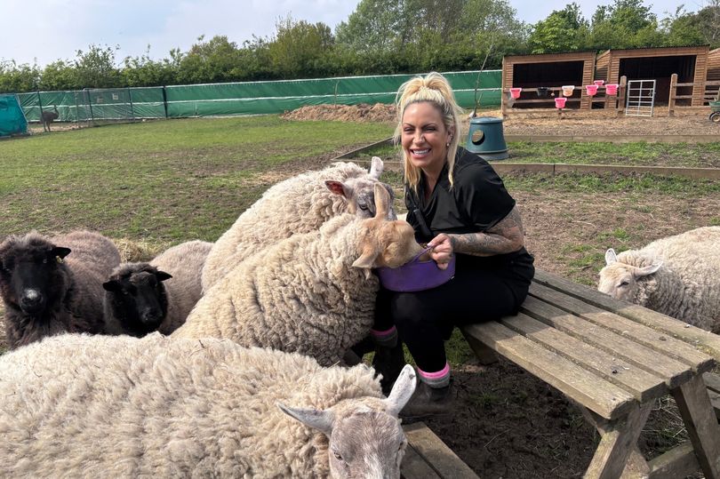 Jodie Marsh plans to leave Essex in update after devastating animal ...