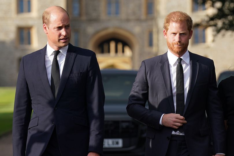 Prince William 'hires crisis expert' as Harry's UK return looms