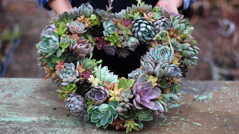 15 cute DIYs that level up growing succulents as decor