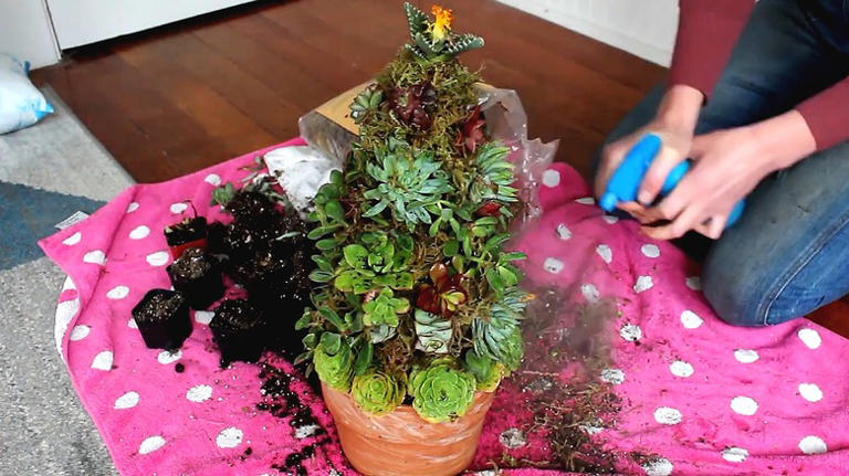 15 cute DIYs that level up growing succulents as decor