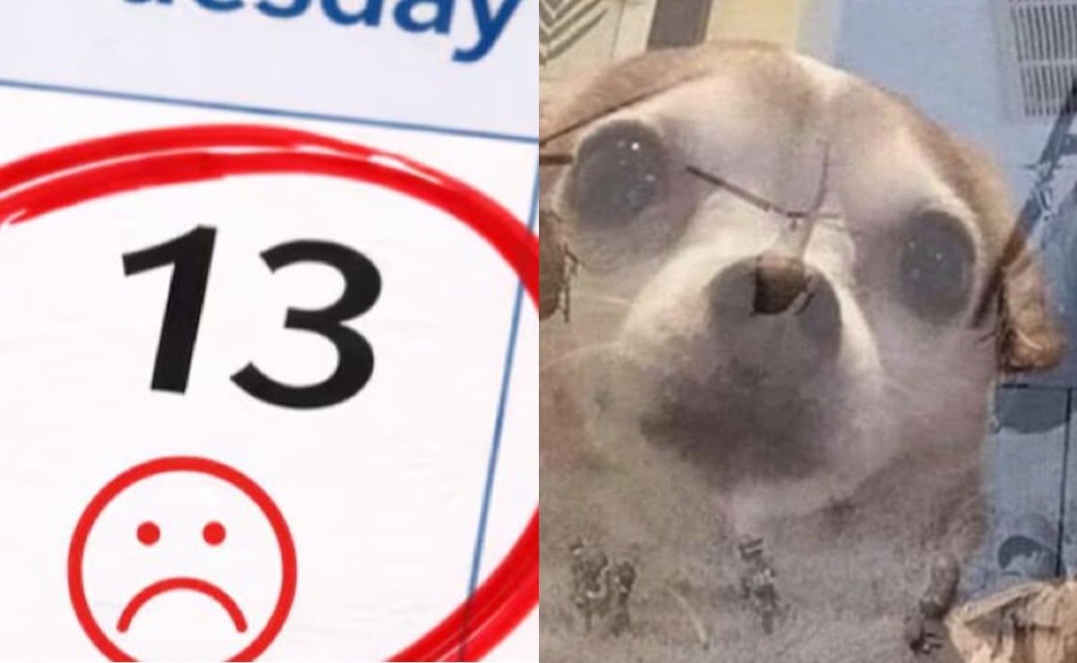 Ni la mala suerte se salva: martes 13 deja la mejor ola de memes