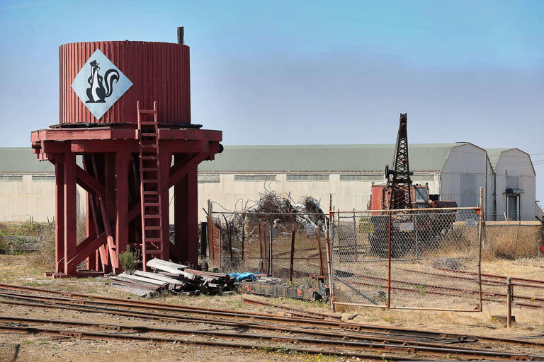 Skunk Train owner wins court reversal that could pave way for major ...