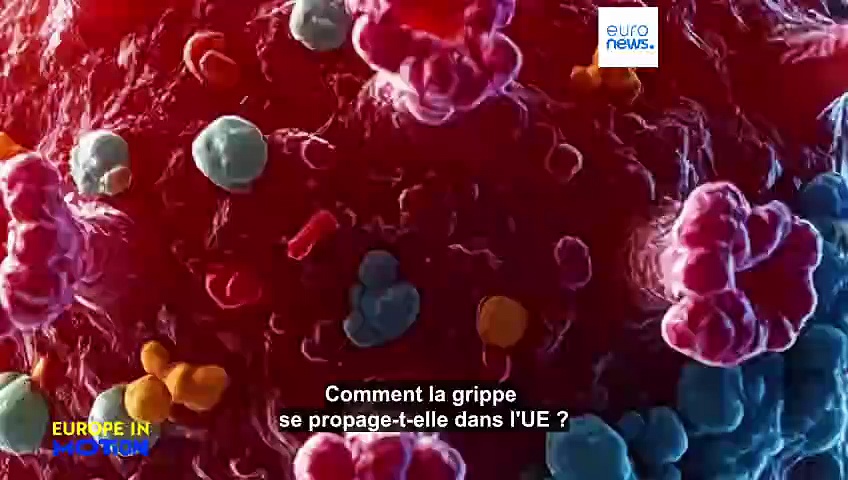 Saison de la grippe : comment le virus se propage-t-il dans l'UE