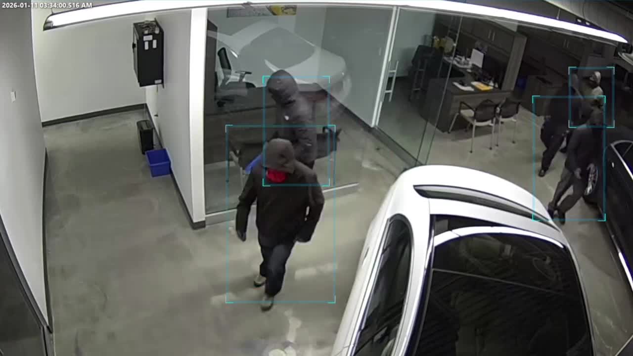 Caught on camera: Car thieves clean out showroom