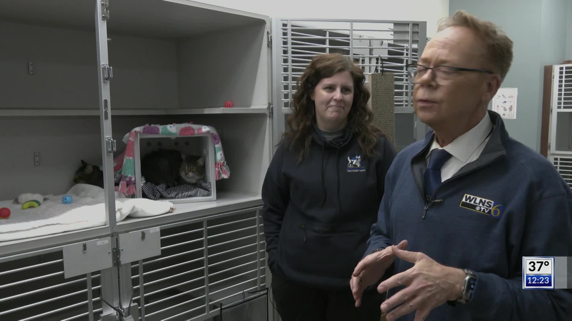 Kirk's critters: Gichigami & salt shaker