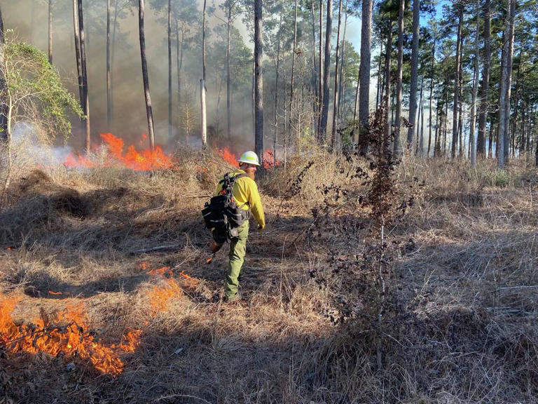 Conroe area may see and smell smoke from prescribed burn in WG Jones ...