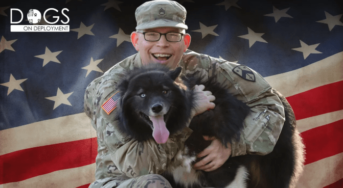 Dogs on Deployment: Supporting military families and their pets